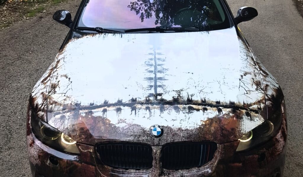 Bmw Rust - Wrap Like Royalty