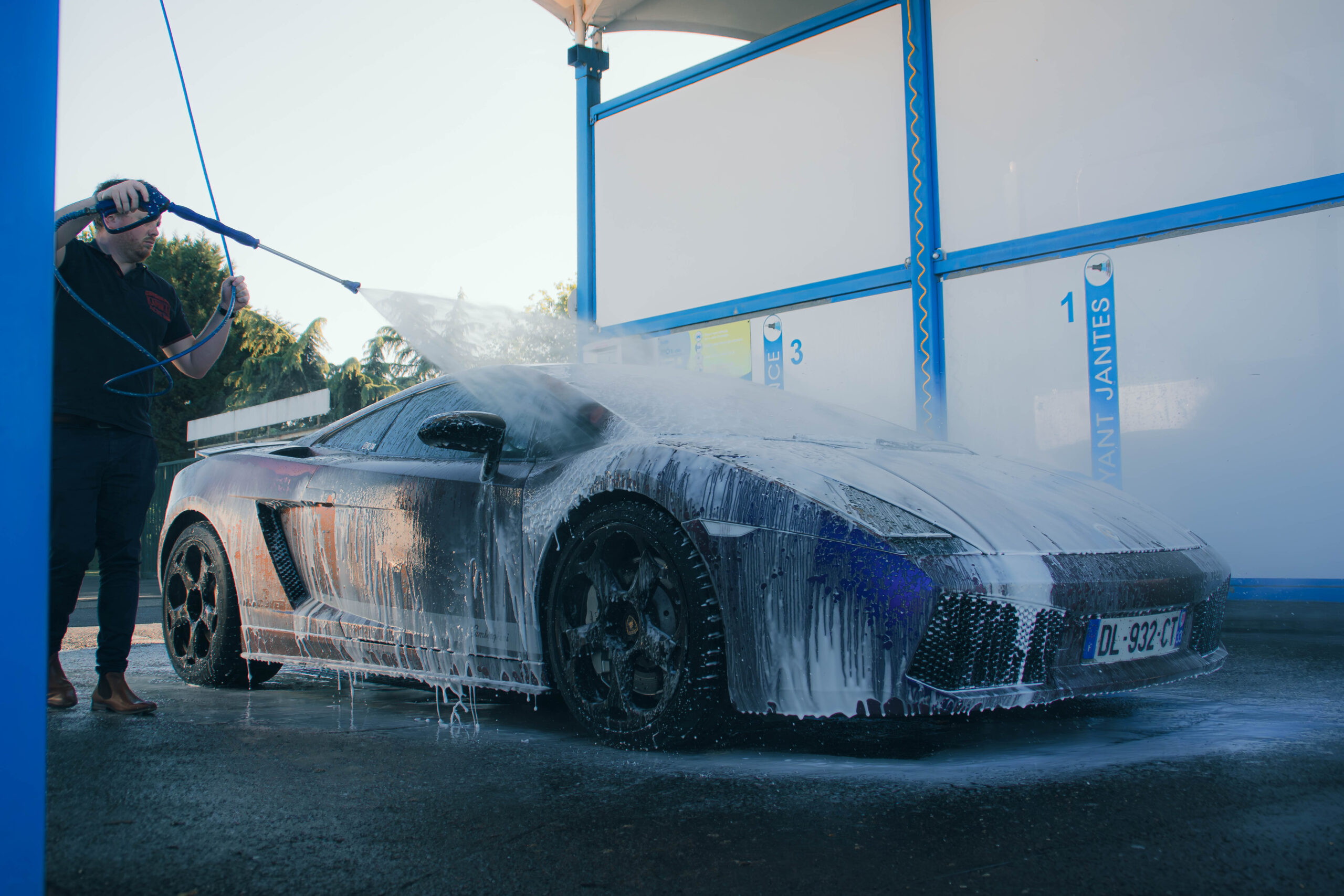 Purple Screaming Bull - Wrap Like Royalty