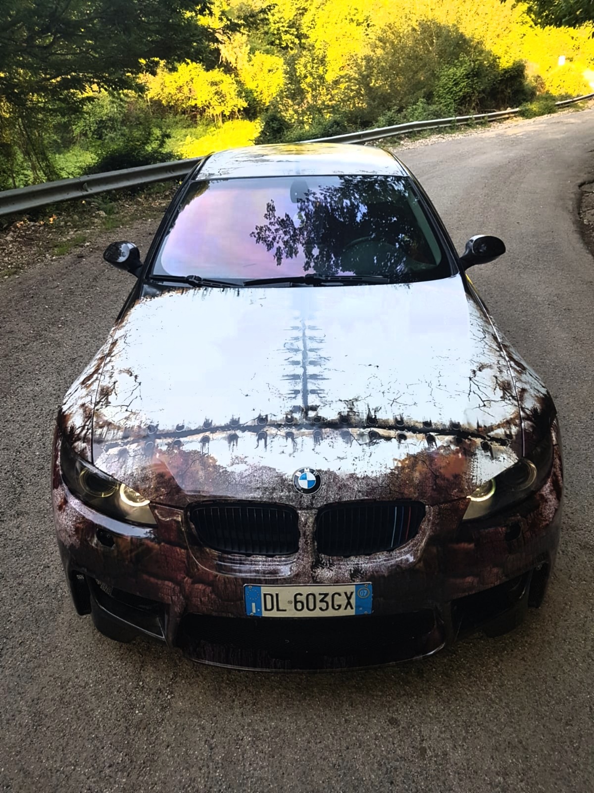 Bmw Rust - Wrap Like Royalty