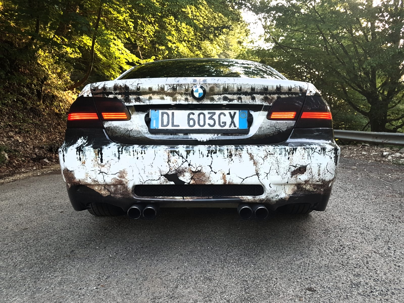 Bmw Rust - Wrap Like Royalty